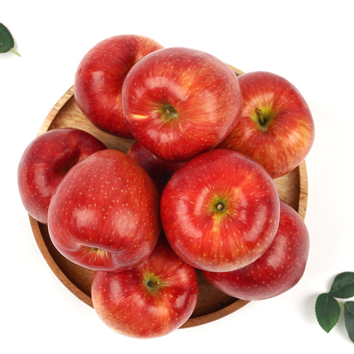 서울예술실용전문학교